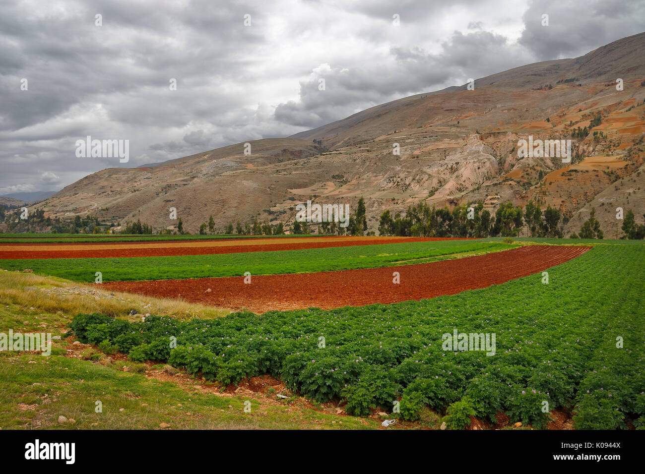 Chambara hi-res stock photography and images - Alamy