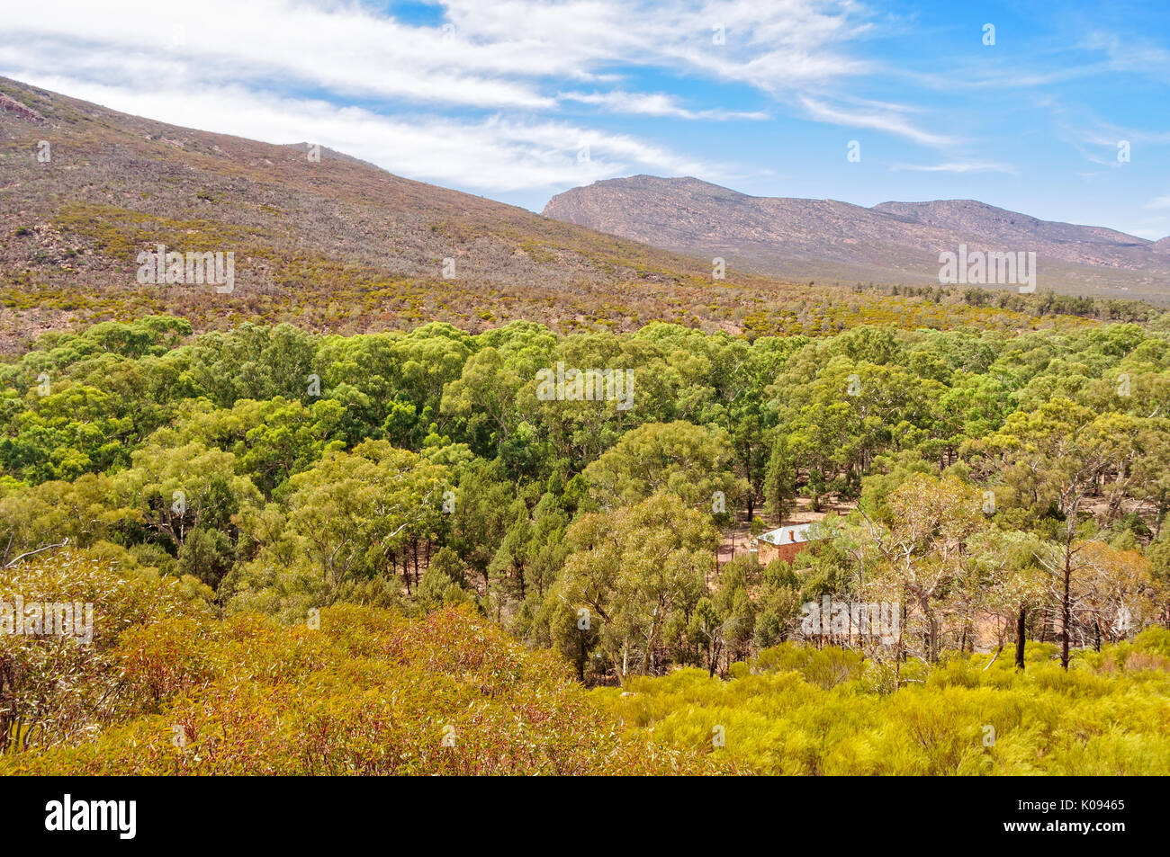Hills homestead australia hi-res stock photography and images - Alamy