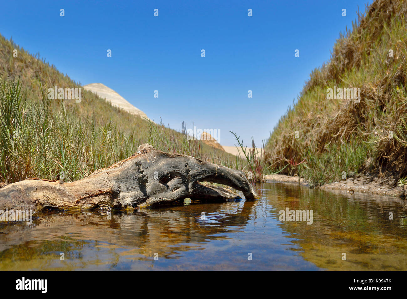 river in tha canyon of the lost Stock Photo - Alamy