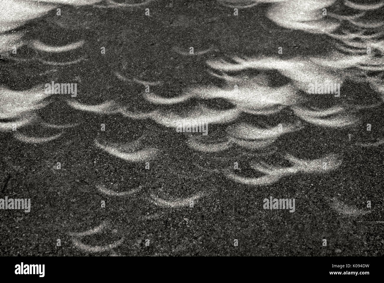 crescent highlights and shadows of tree leaves from eclipse happening ...