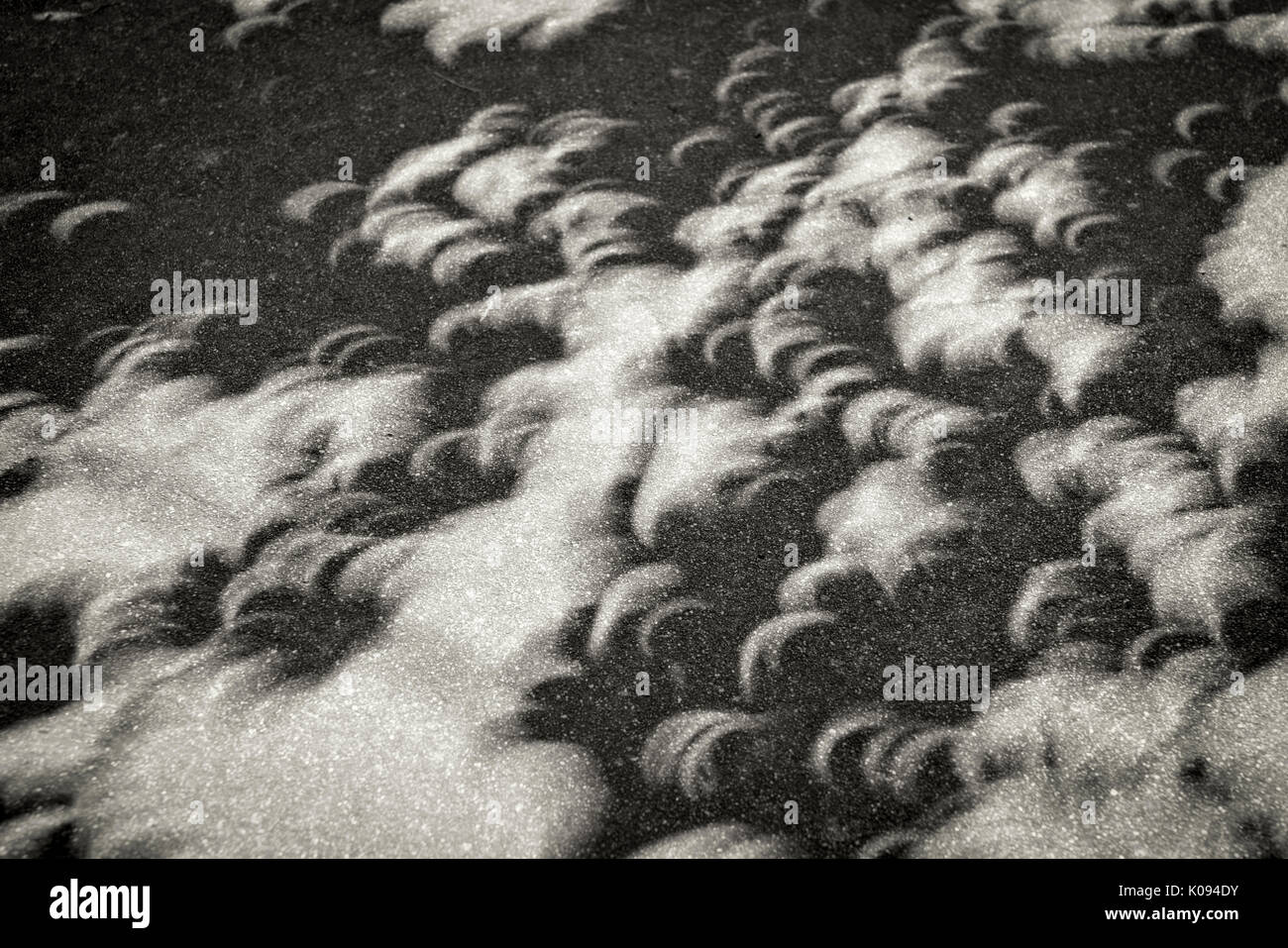 crescent highlights and shadows of tree leaves from eclipse happening ...