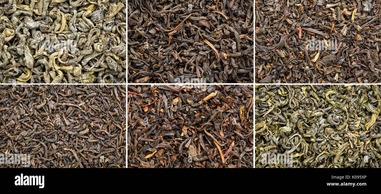 six historical loose leaf black (bohea, oolong, souchong, congou) and ...