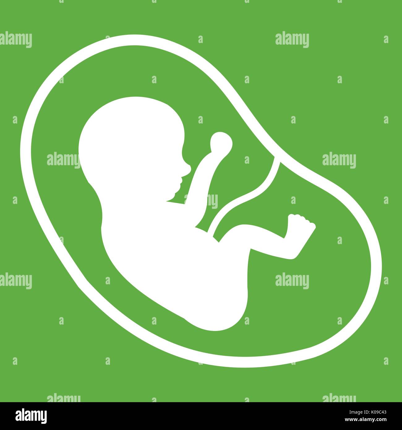 Fetus icon green Stock Vector Image & Art - Alamy