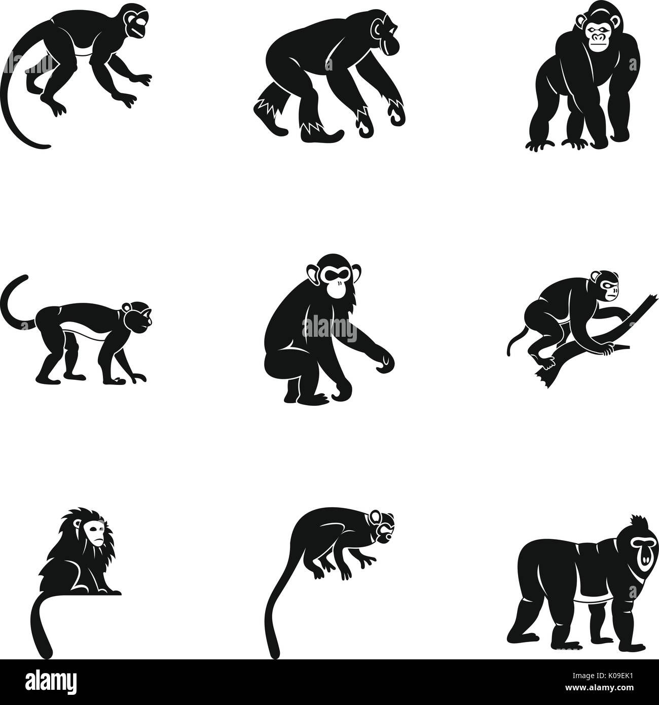 Tropical monkey icon set, simple style Stock Vector Image & Art - Alamy