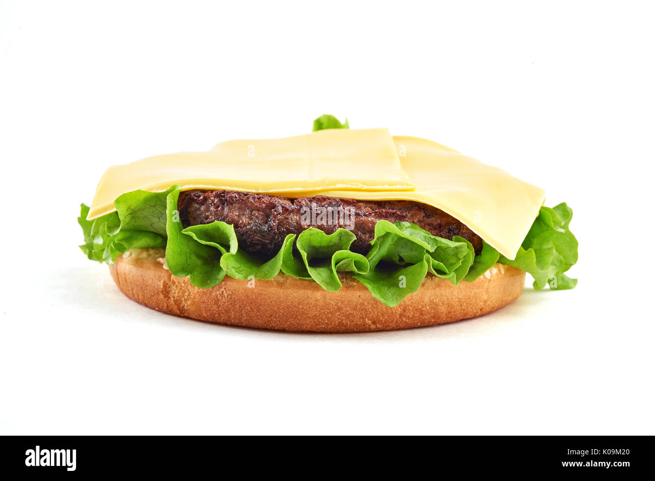 Base of classic cheeseburger: bun, salad, beef cutlet and cheese ...