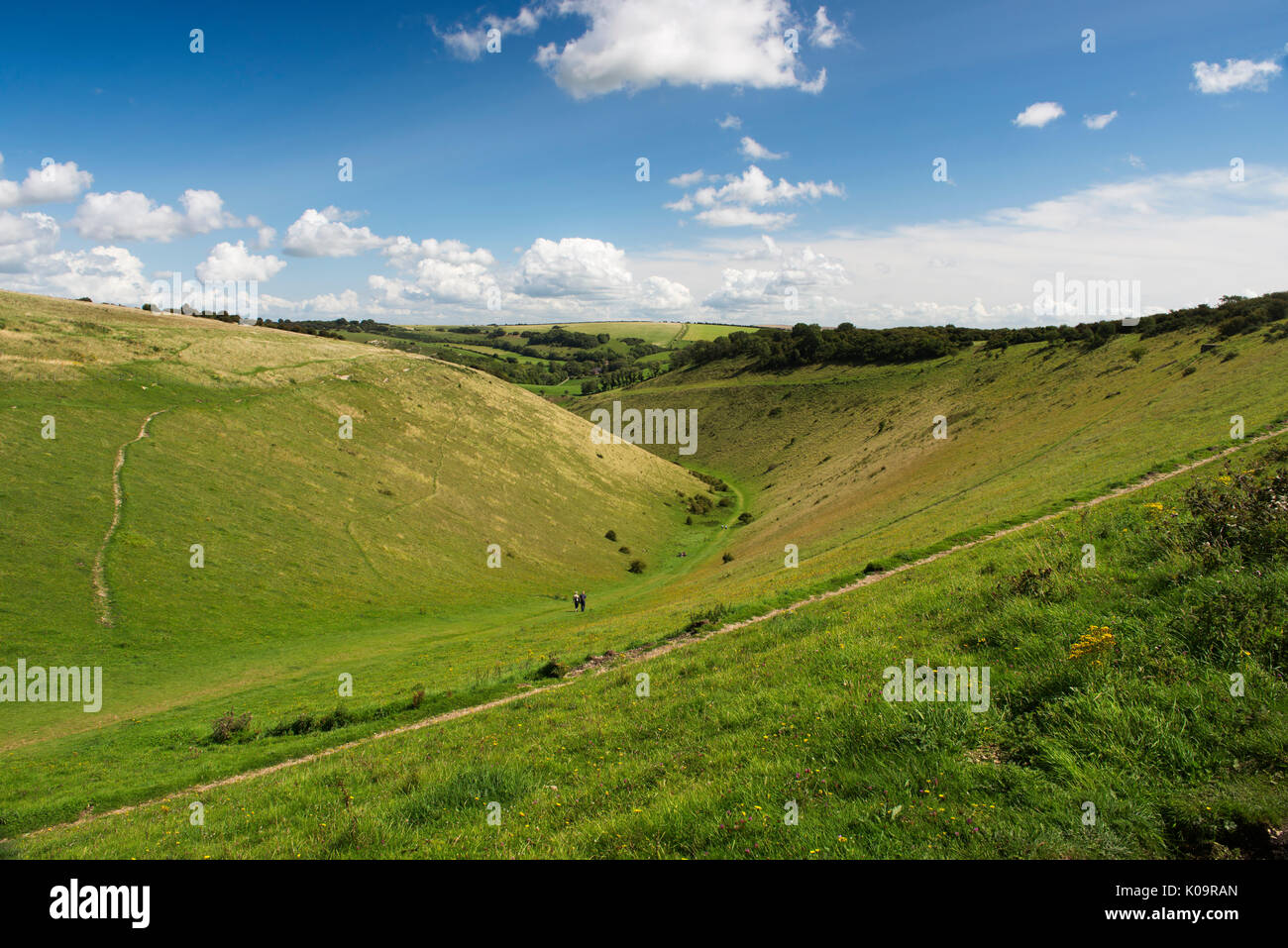 The south downs national park hi-res stock photography and images - Alamy