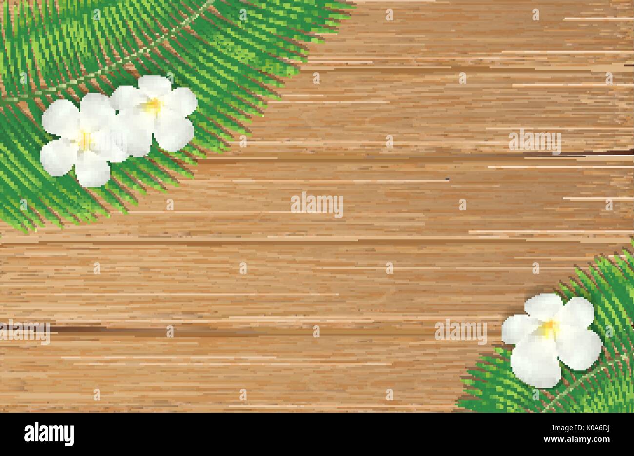 Palm tree top on Stock Vector Images - Alamy