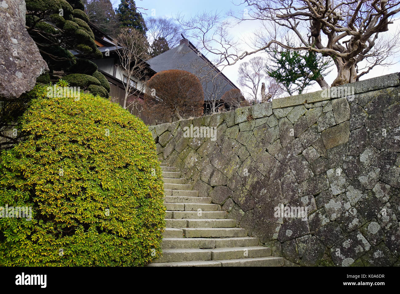 Concrete stair with bonsai garden at the Shinto temple in Kyoto, Japan ...
