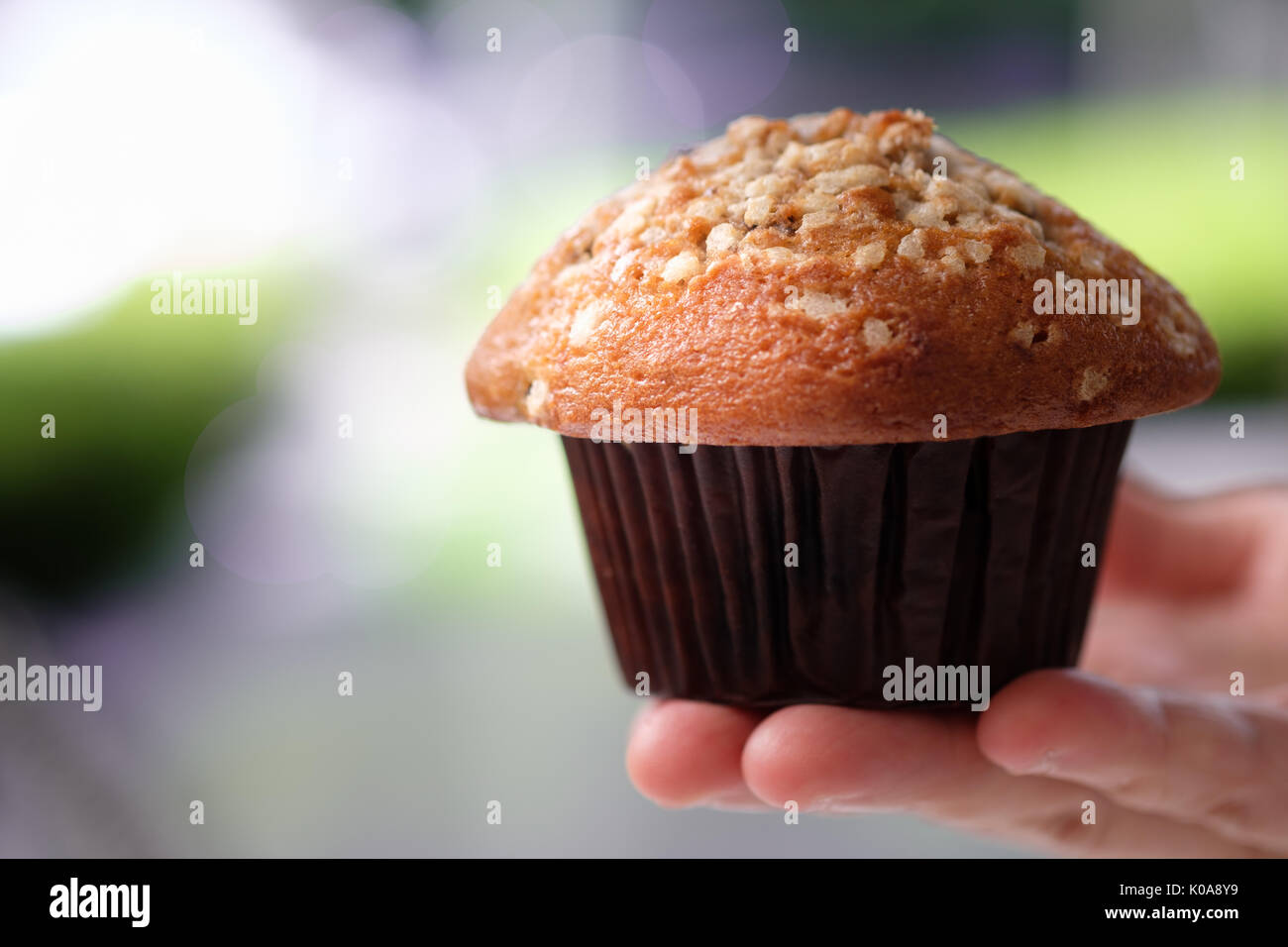 Delicious muffins placed on women's hands Stock Photo - Alamy