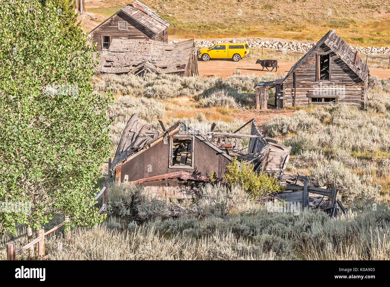 Contrasts - old, weathered buildings, bright yellow truck, and a cow ...