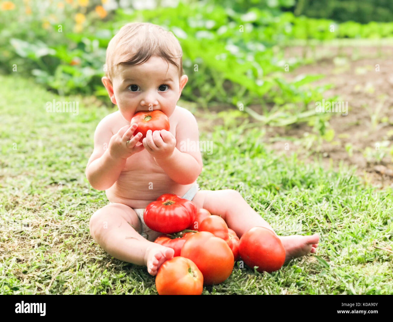 baby boy eating tomato Stock Photo - Alamy