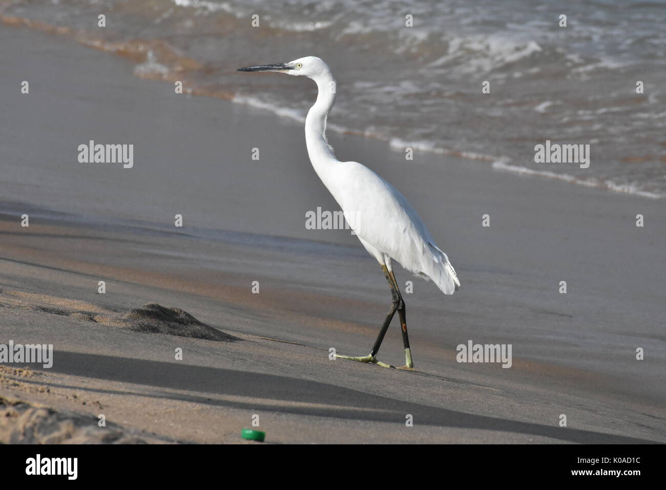 Tidal streams hi-res stock photography and images - Alamy