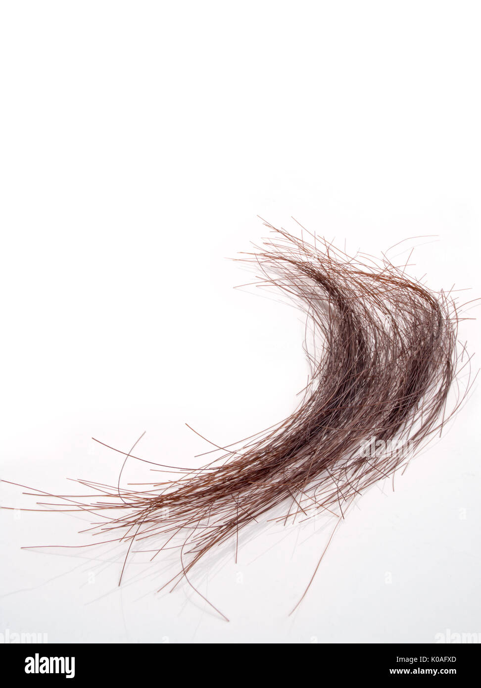 Bunches hair dark brown. On grey background with reflection Stock Photo ...