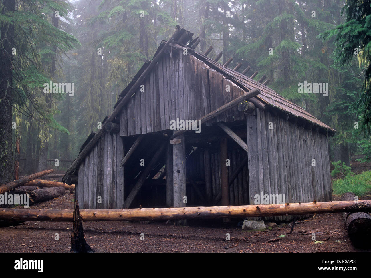 Mink lake hi-res stock photography and images - Alamy