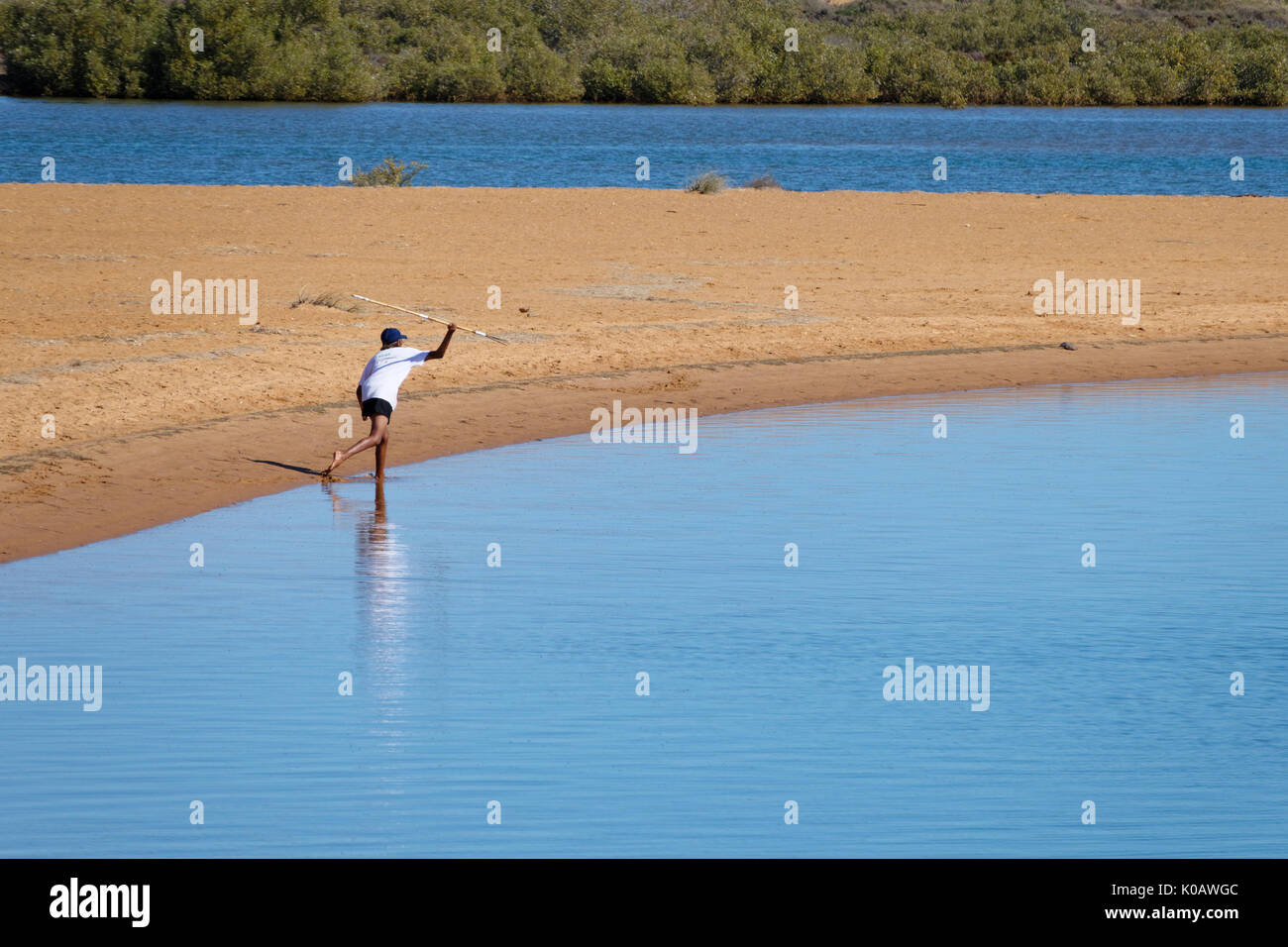 Young Aboriginal man throwing spear into water, attempting to catch ...