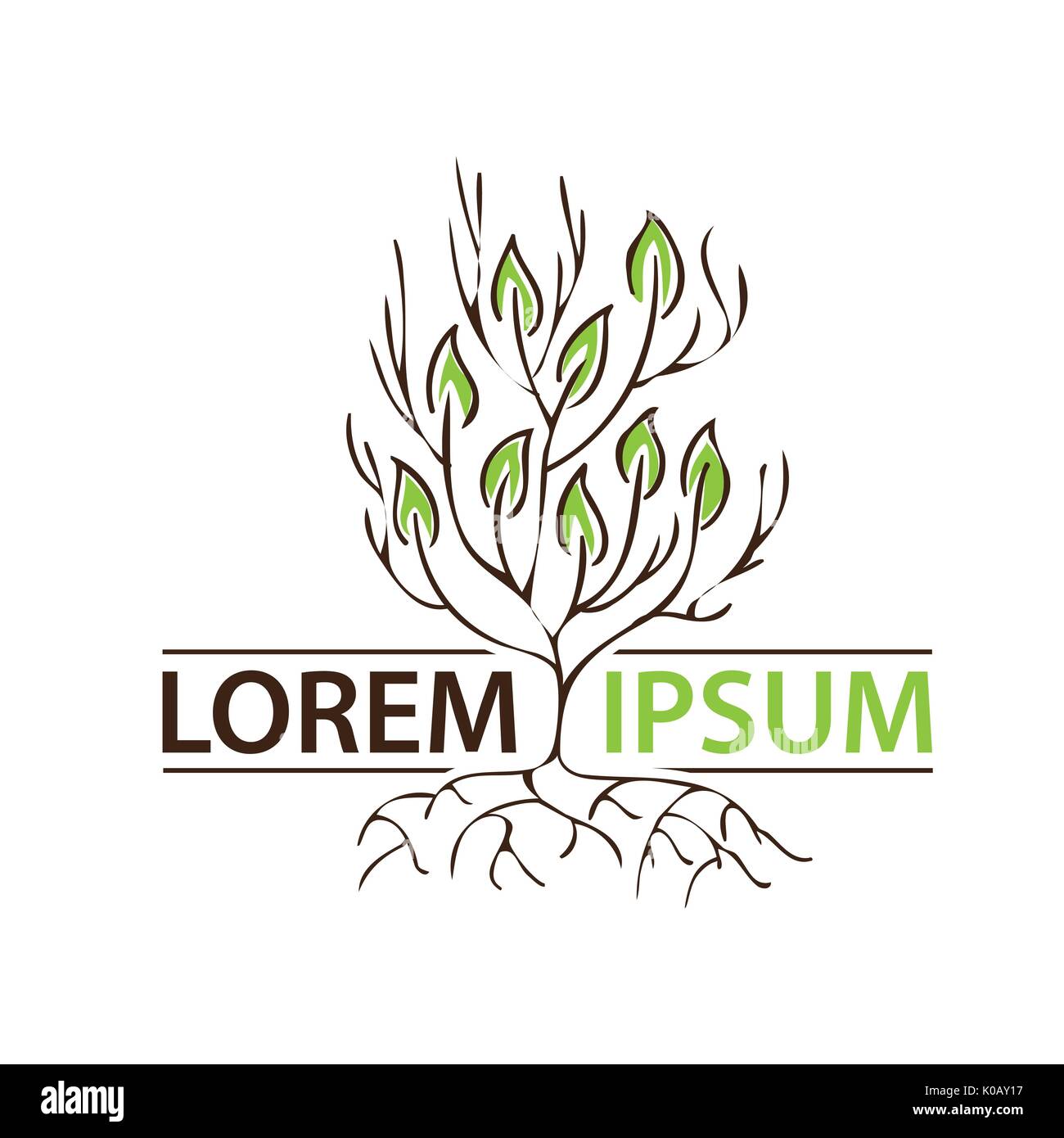 elegant branches with leaves and root, illustration design, isolated on ...