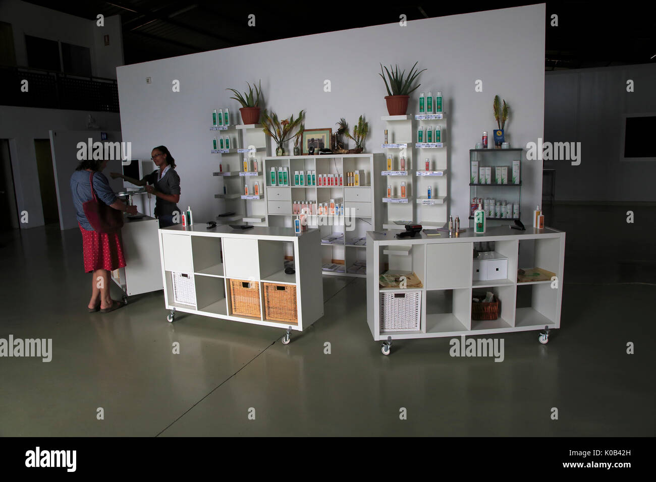 Aloe vera factory shop hi-res stock photography and images - Alamy