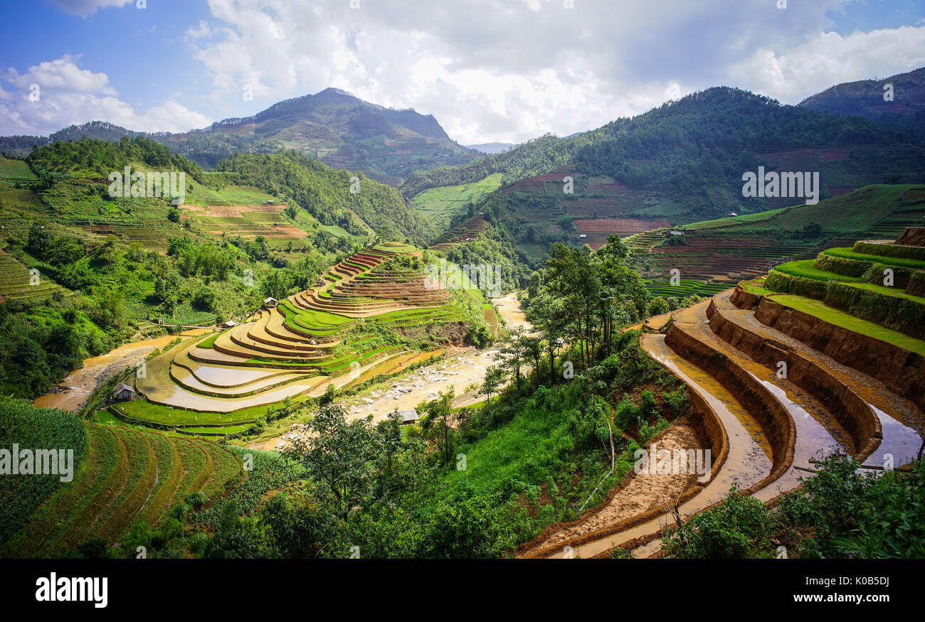 Terraced rice field in Ha Giang, Vietnam. Ha Giang is a mountainous ...