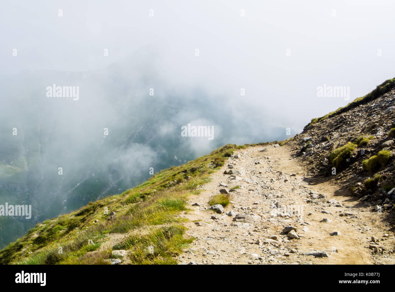 Serpentine trail walkway path hi-res stock photography and images - Alamy