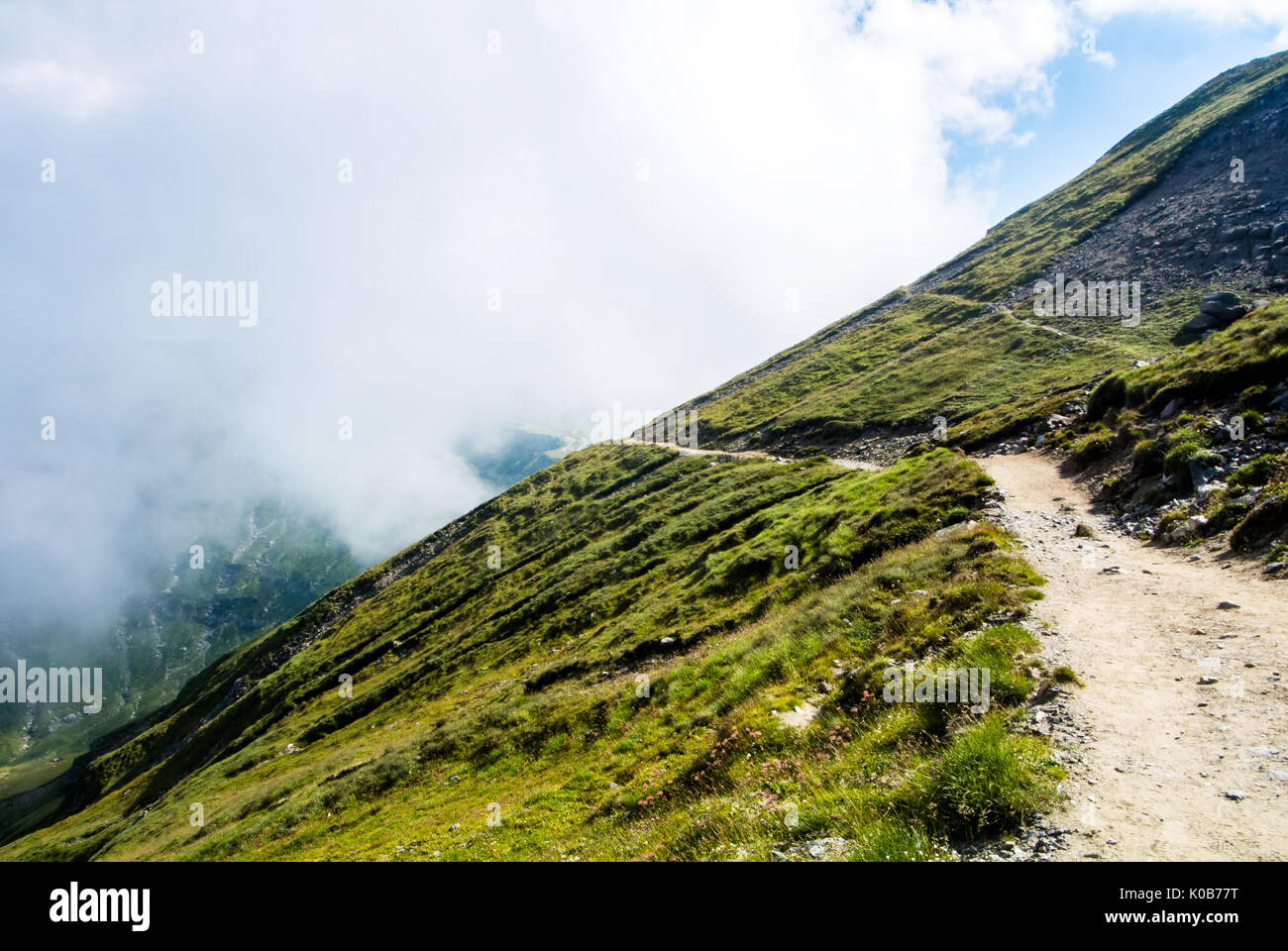 Serpentine trail walkway path hi-res stock photography and images - Alamy