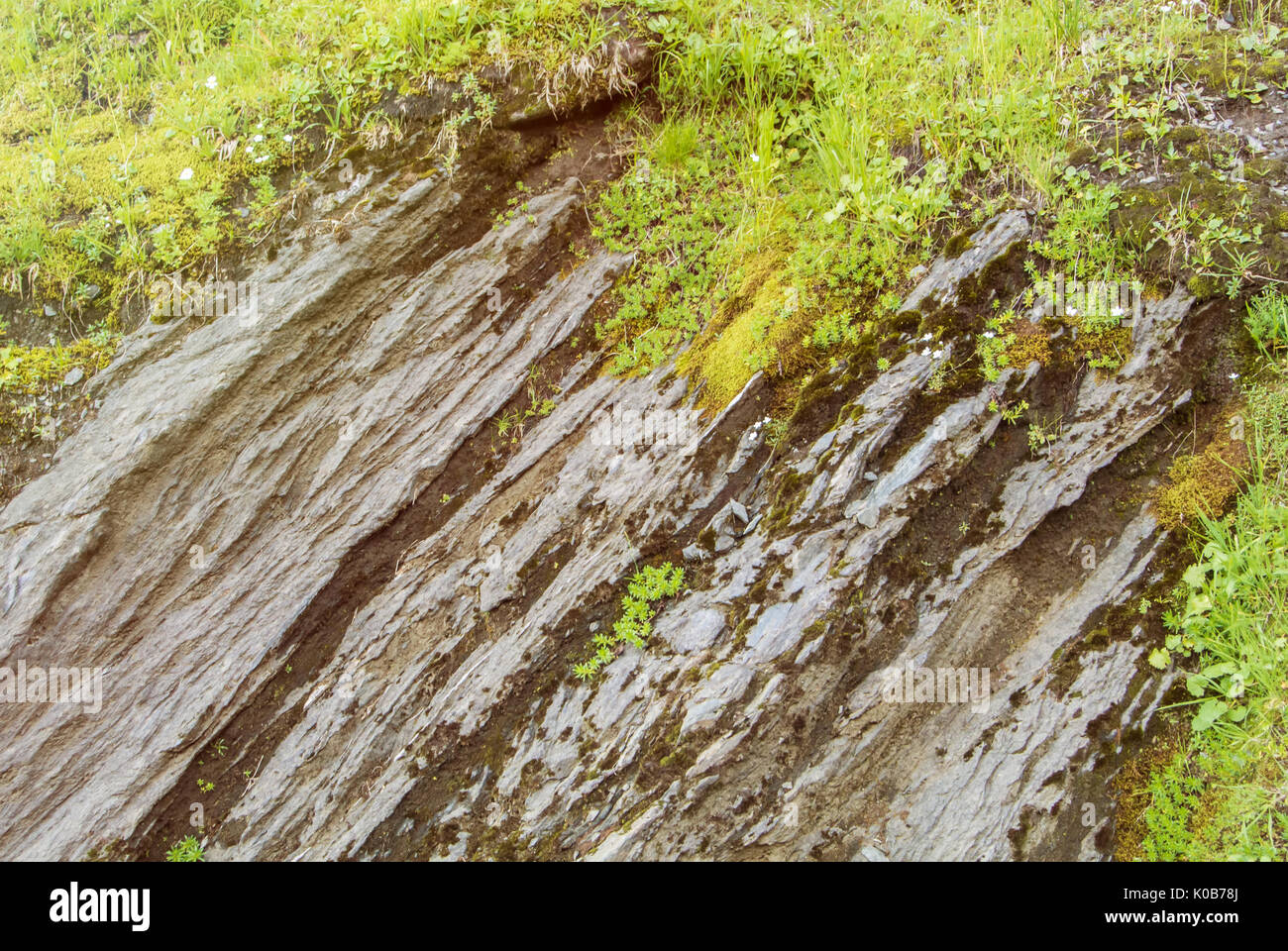 Rock cut texture and green alpine grass on the top of the mountains at ...