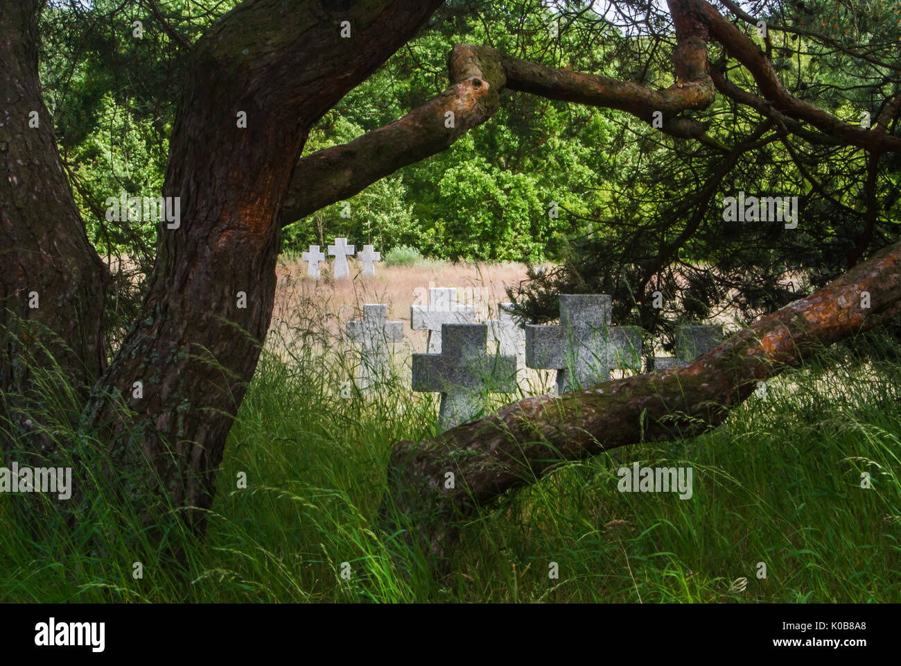 German soldier grave forest hi-res stock photography and images - Alamy