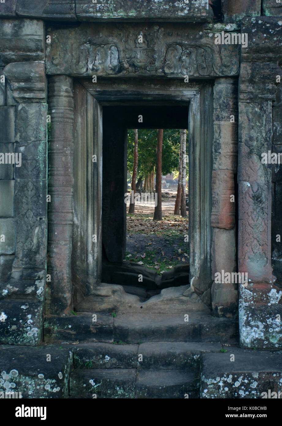 Monument through trees hi-res stock photography and images - Alamy