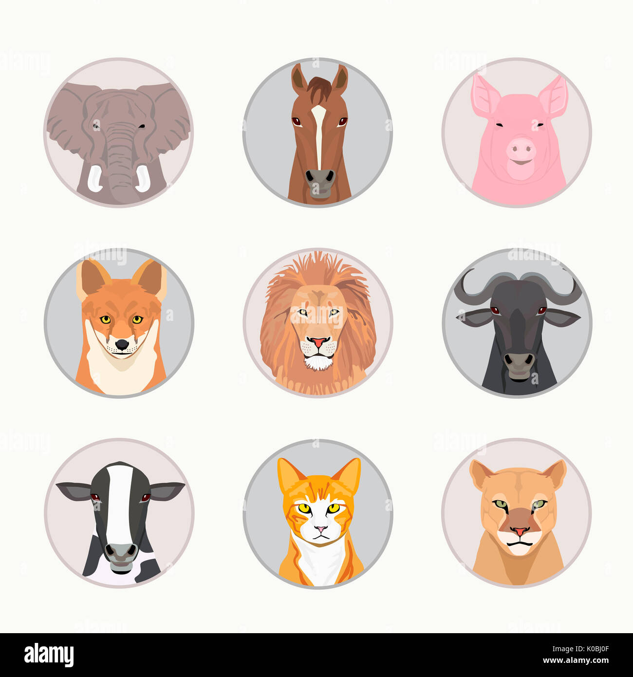 Facs hi-res stock photography and images - Alamy