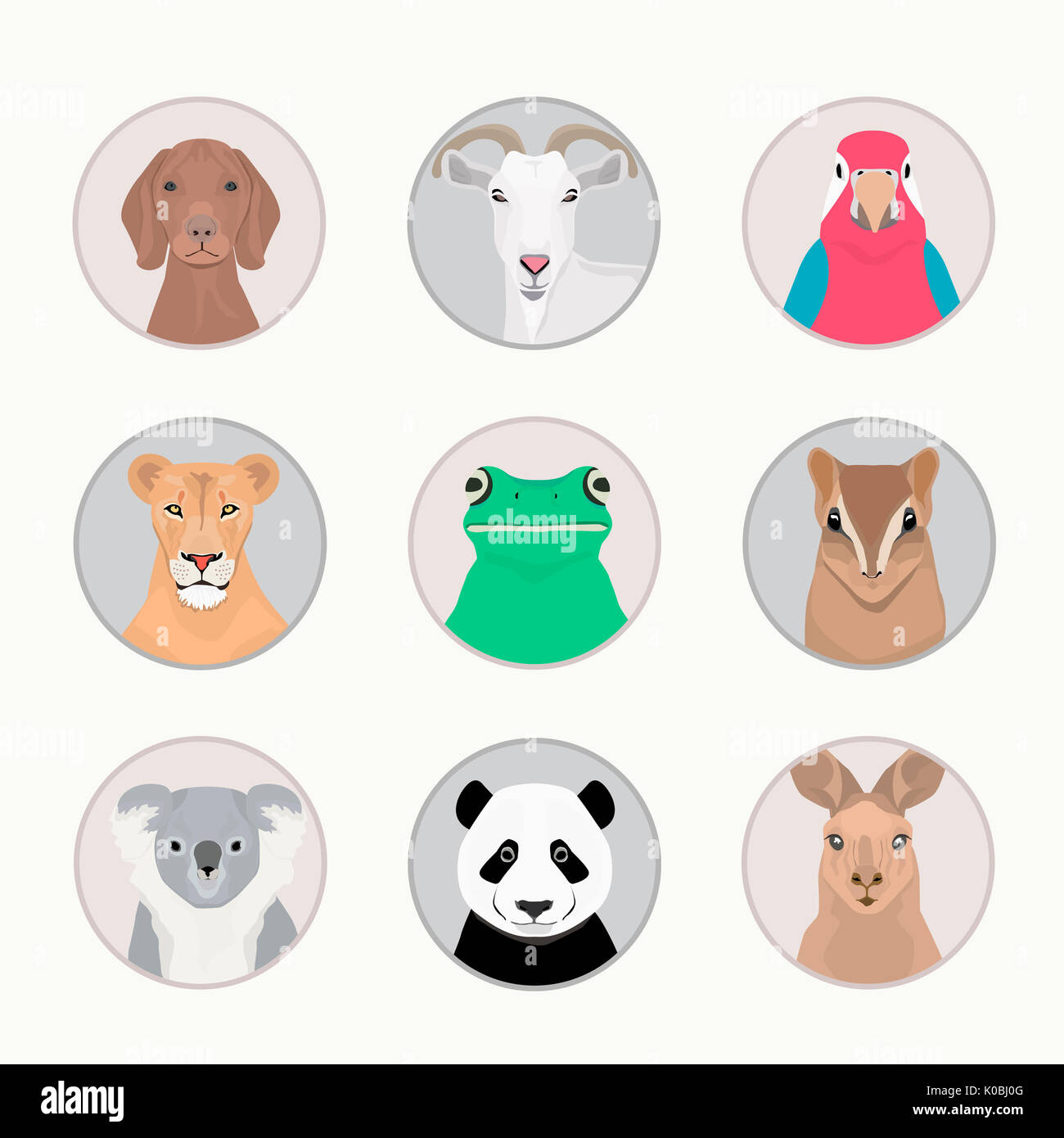 Frog faces Cut Out Stock Images & Pictures - Alamy