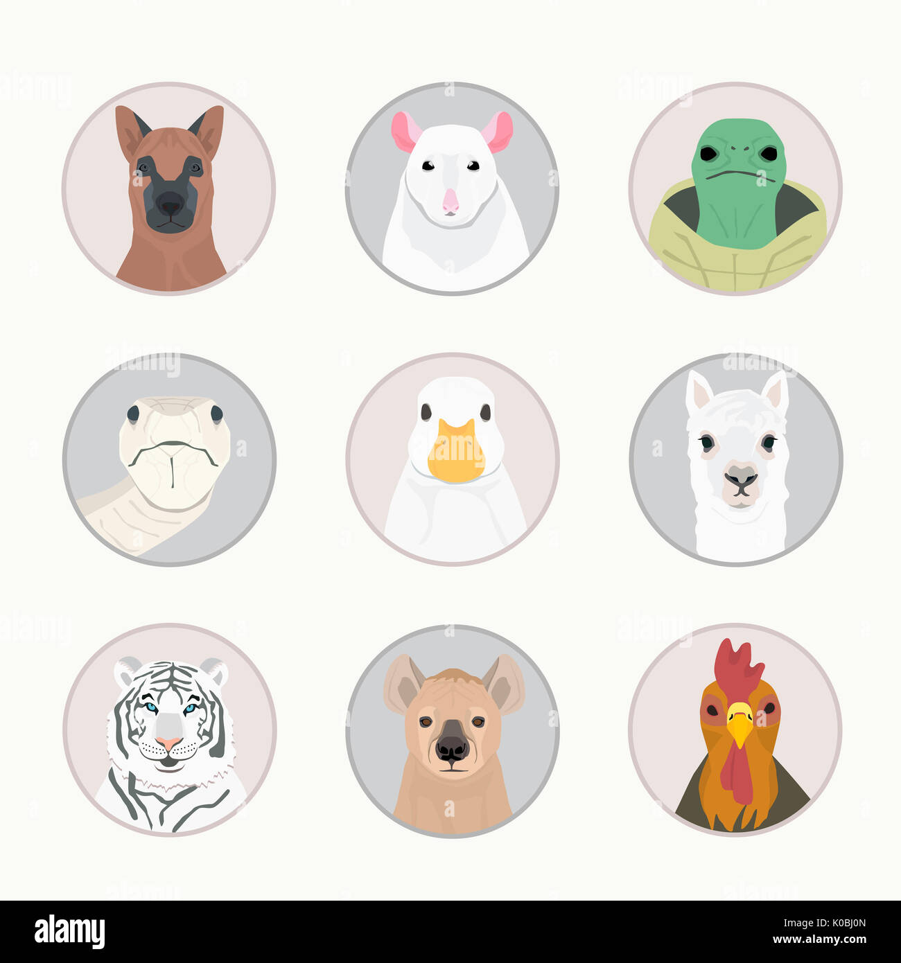 Rooster faces hi-res stock photography and images - Alamy