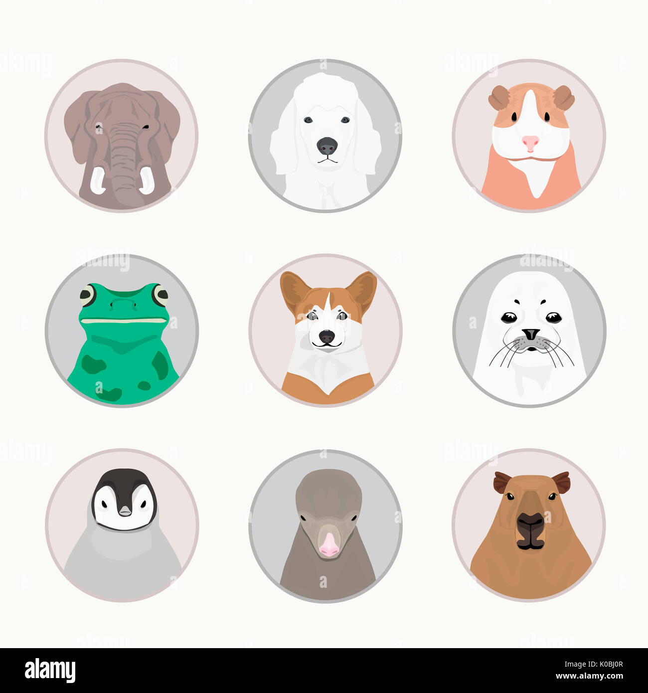 Variety faces Cut Out Stock Images & Pictures - Alamy