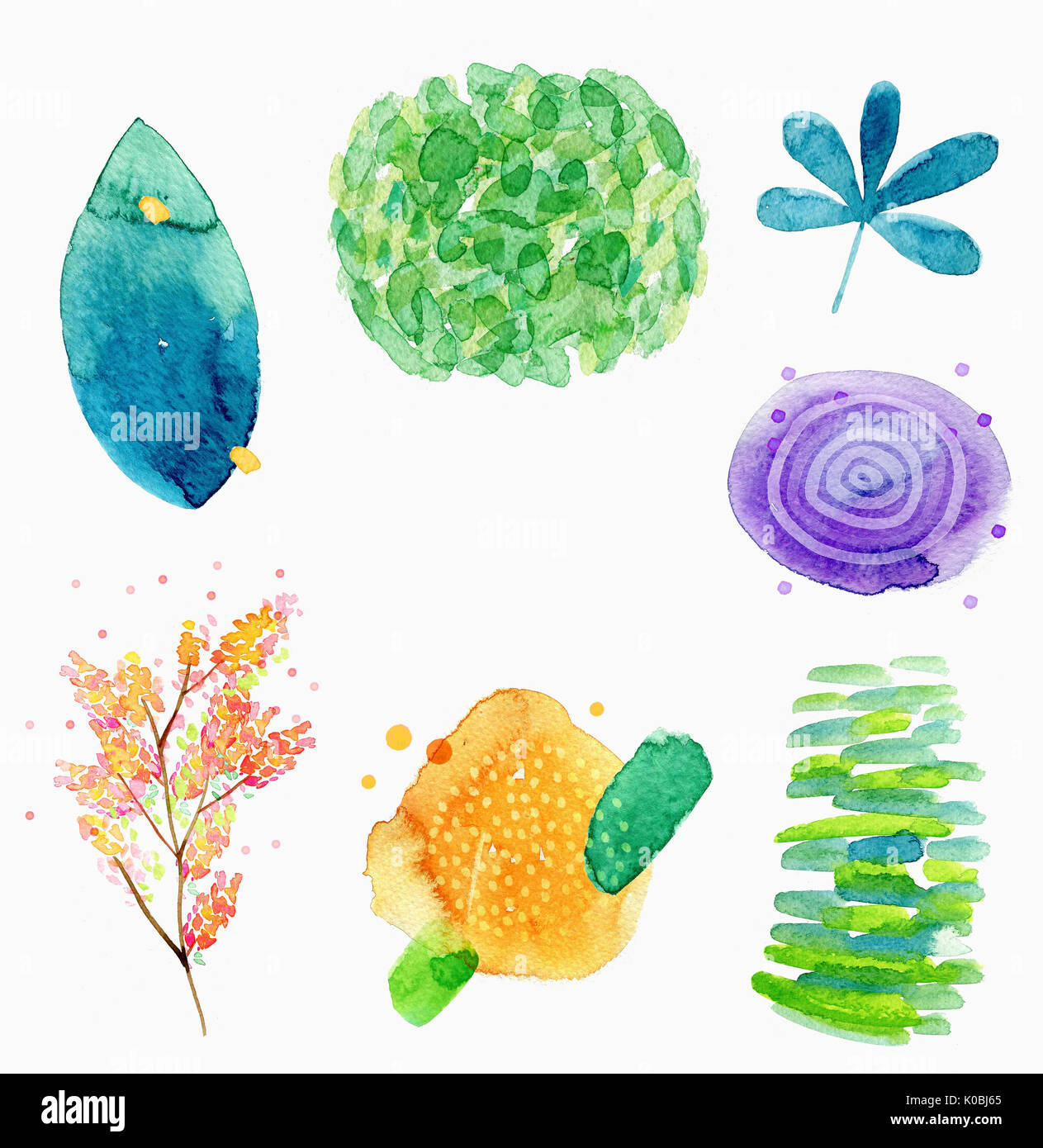 Watercolor leaves and flowers Stock Photo - Alamy