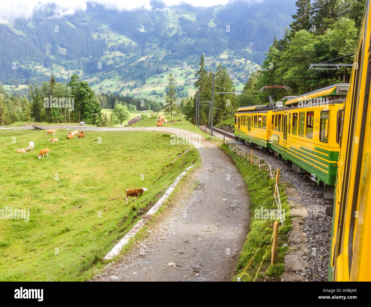 Beautiful Panoramic Swiss scenery seen from a train window Stock Photo ...