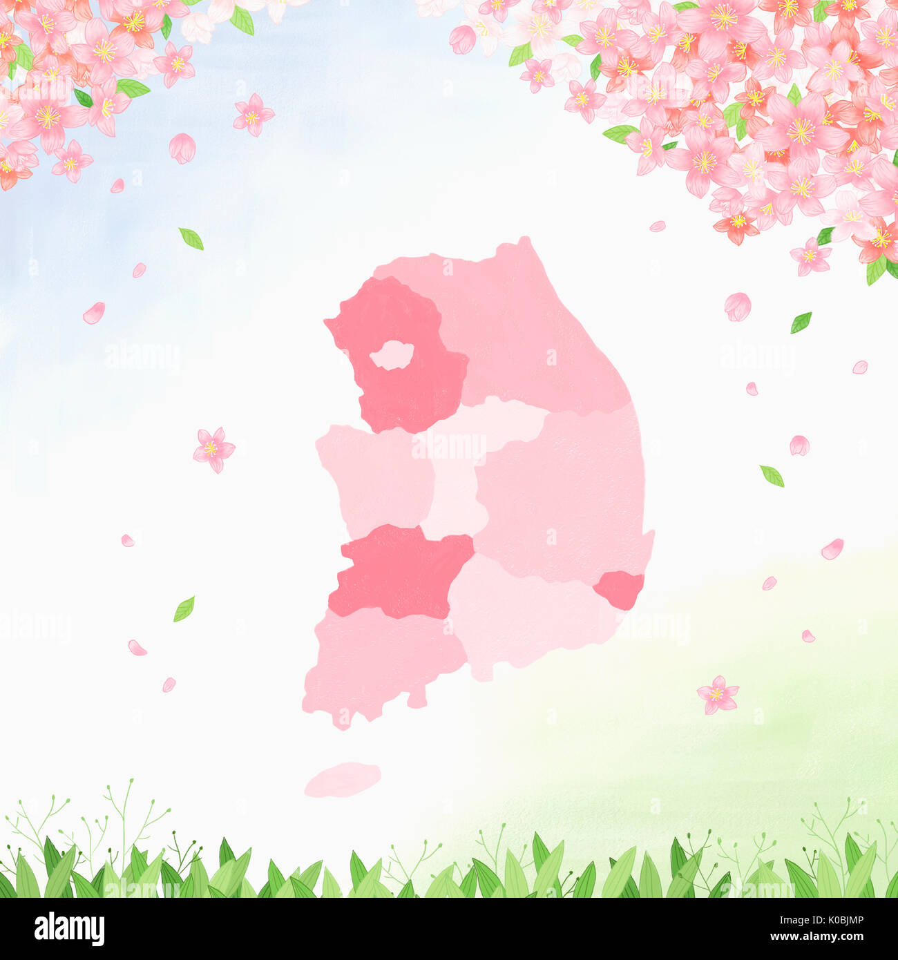 Map of the South Korea with cherry blossoms Stock Photo - Alamy