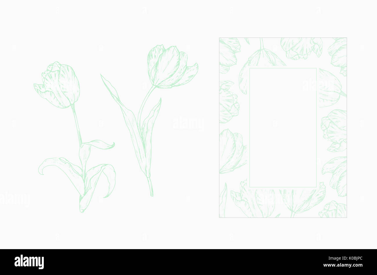 Pen drawings of tulips and frame Stock Photo - Alamy