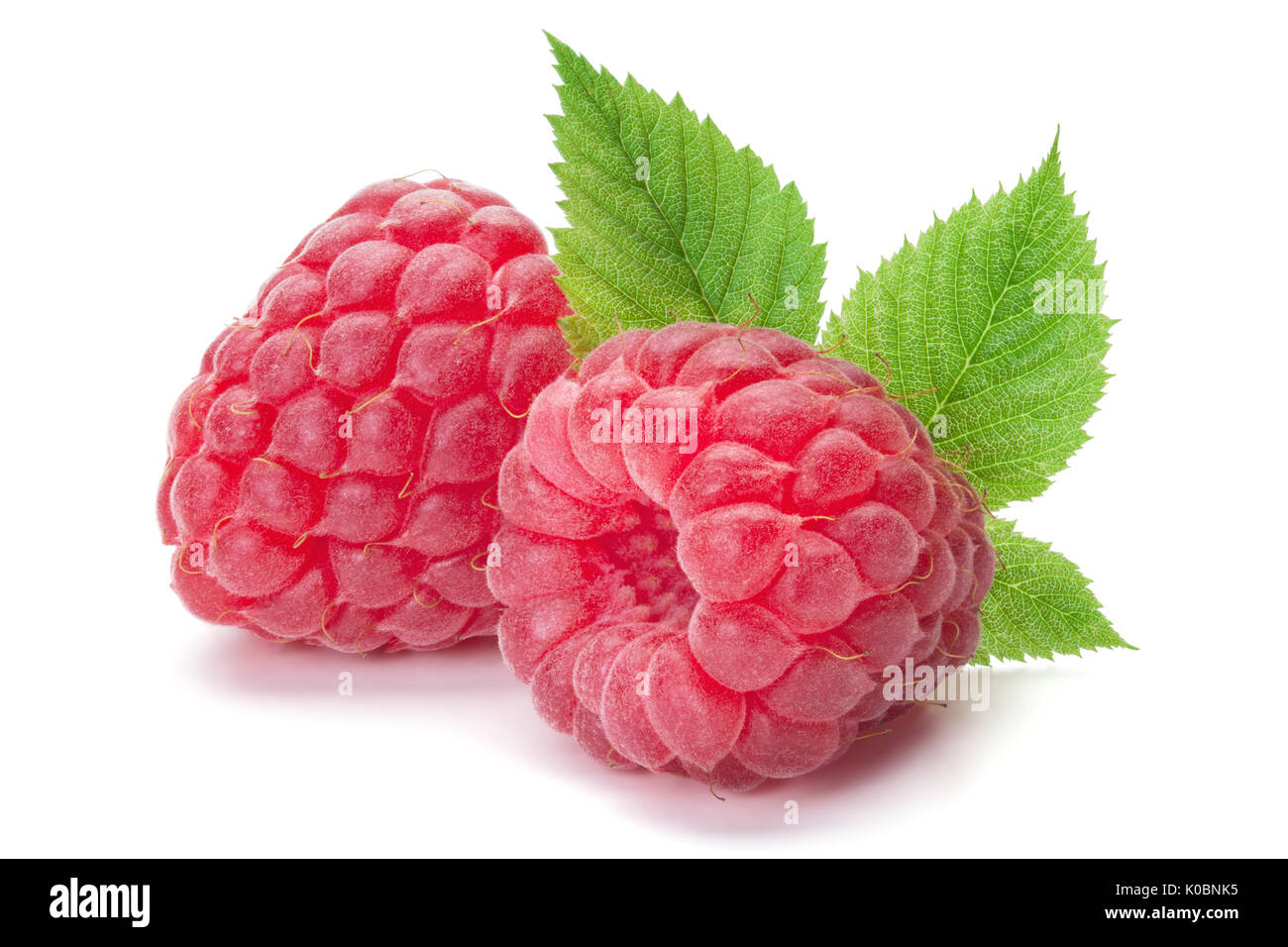 Closeup of ripe raspberries with leaves isolated on the white ...
