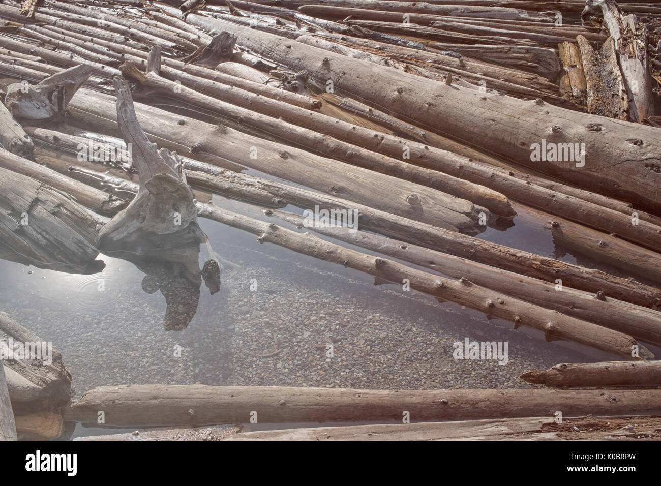 Logging industry canada logs hi-res stock photography and images - Alamy