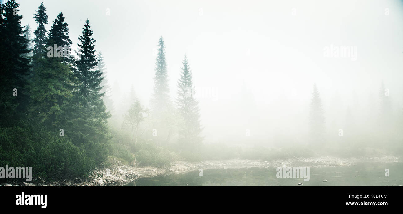 Low saturation hi-res stock photography and images - Alamy