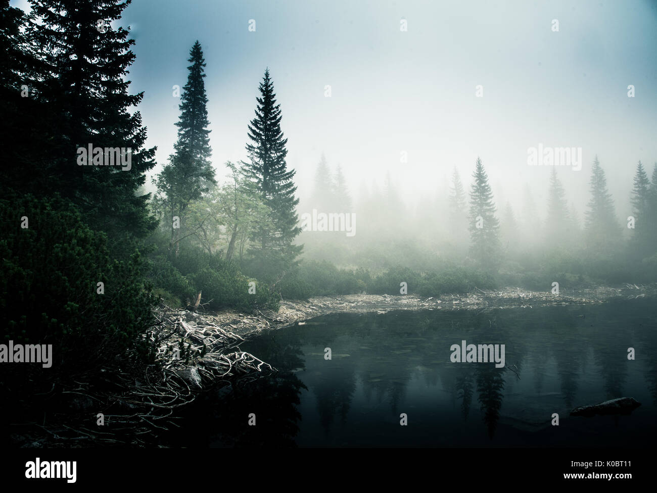 Low Saturation High Resolution Stock Photography and Images - Alamy