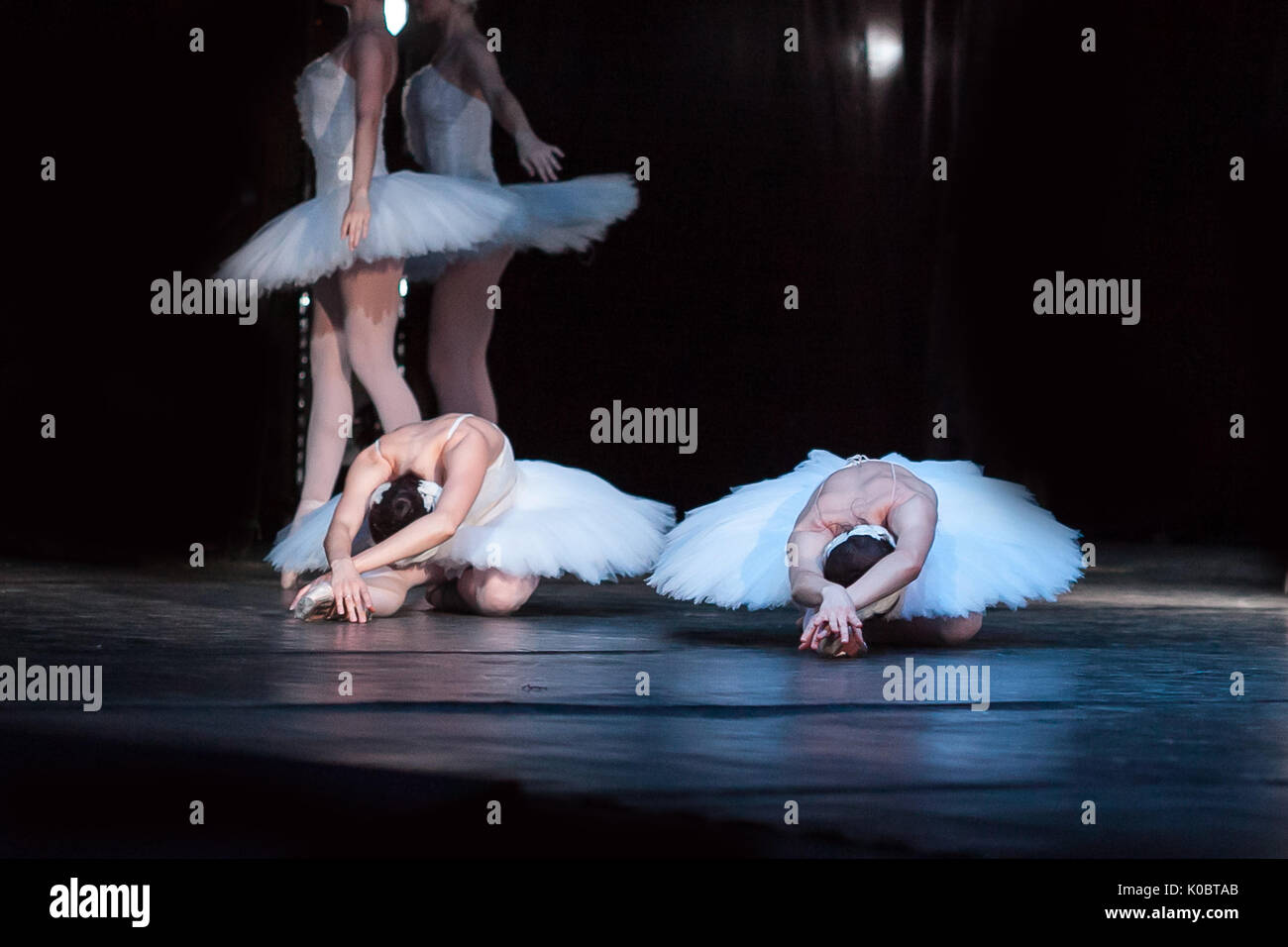 dancing, agility, beauty concept. thin and adorable female ballet ...