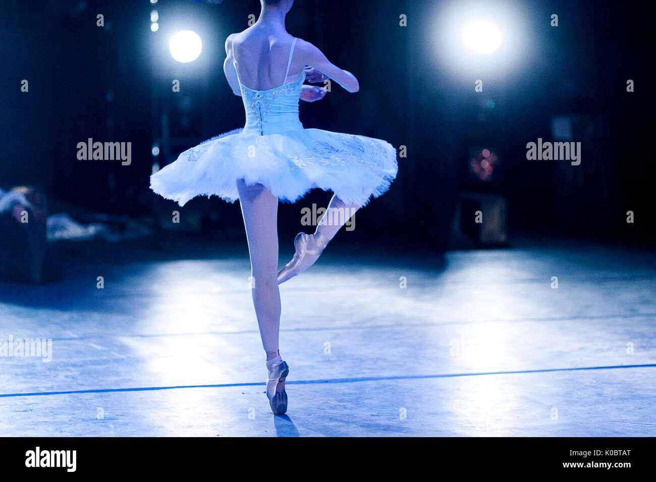 Dance Turn Silhouette