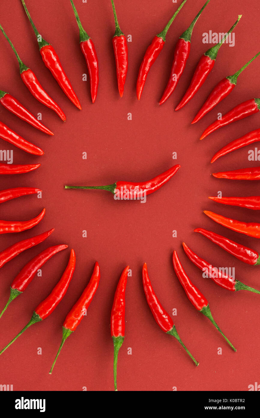red hot chili peppers, popular spices concept - close up on decorative ...