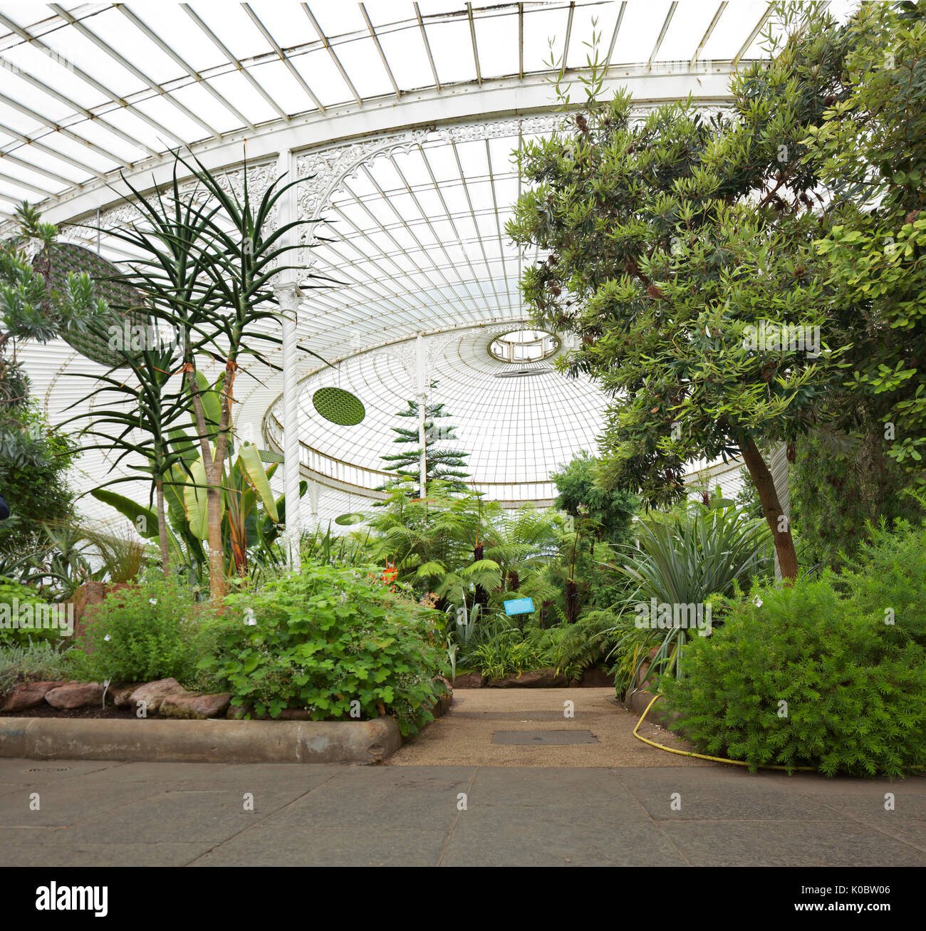 Inside the Victorian Kibble Crystal Art Palace of the Botanic Gardens ...