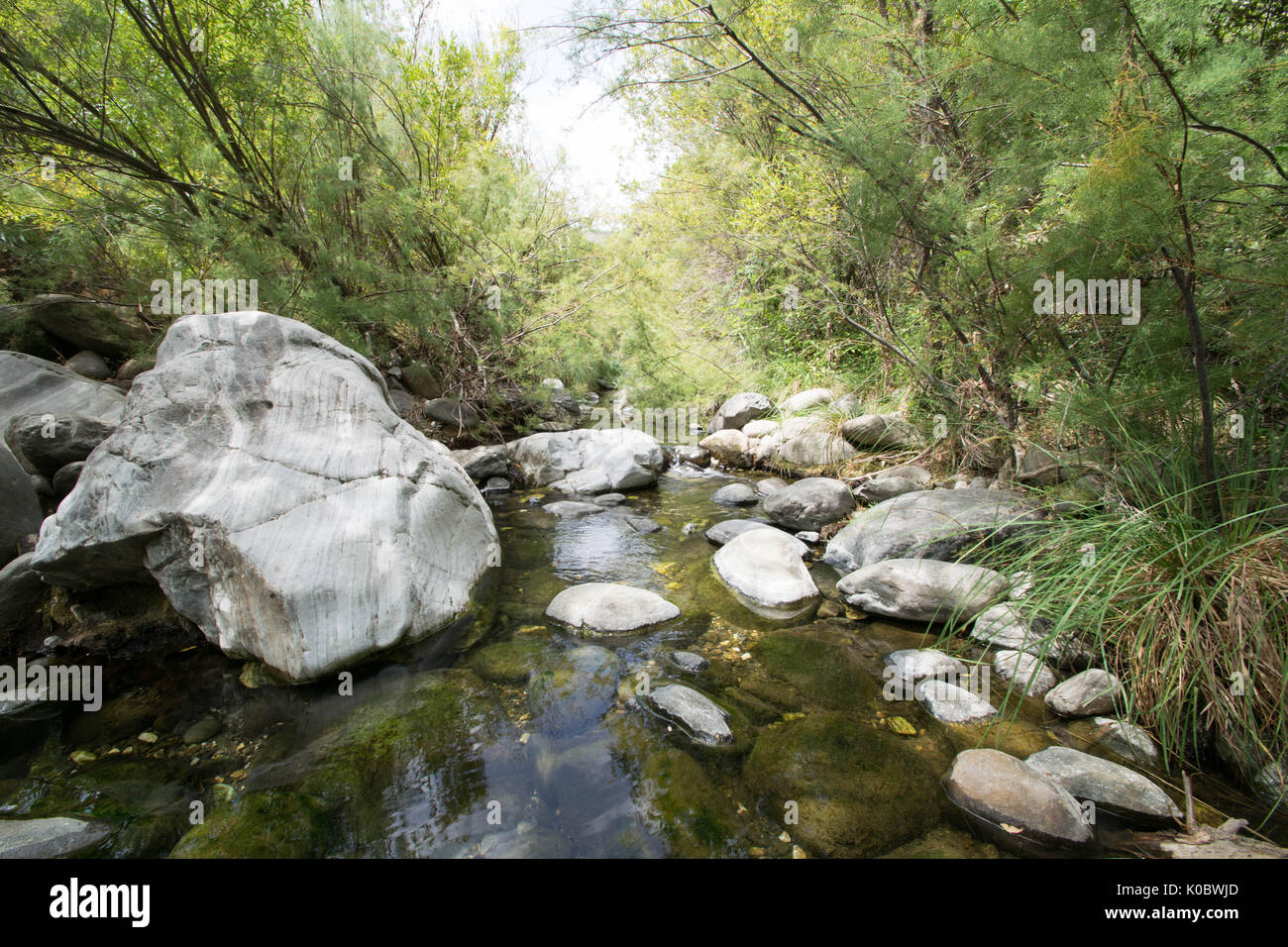 calm river scene taken at Benahavis, Spain Stock Photo - Alamy