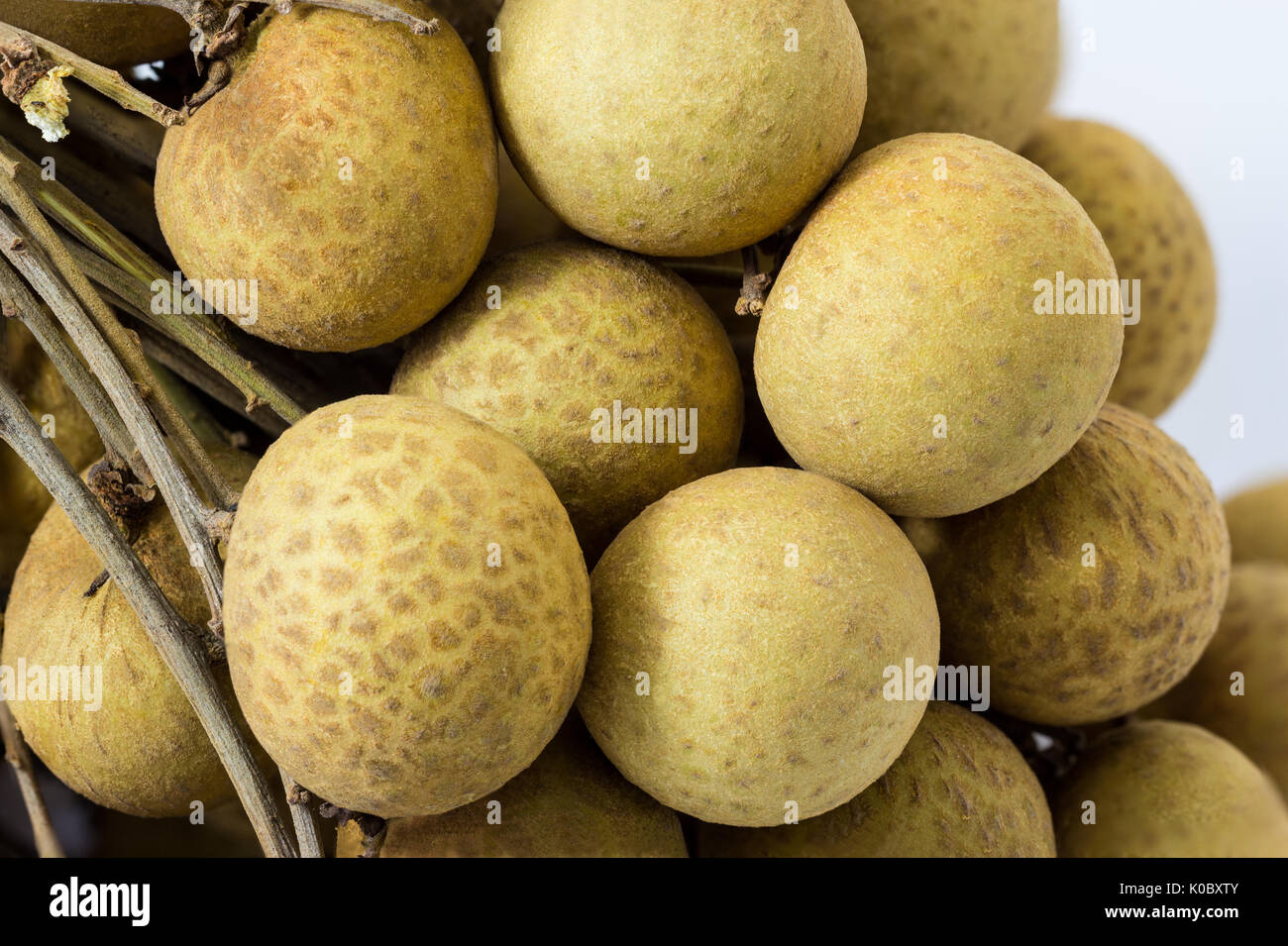 Closeup bunch of logan, sweet tropical fruit Stock Photo - Alamy