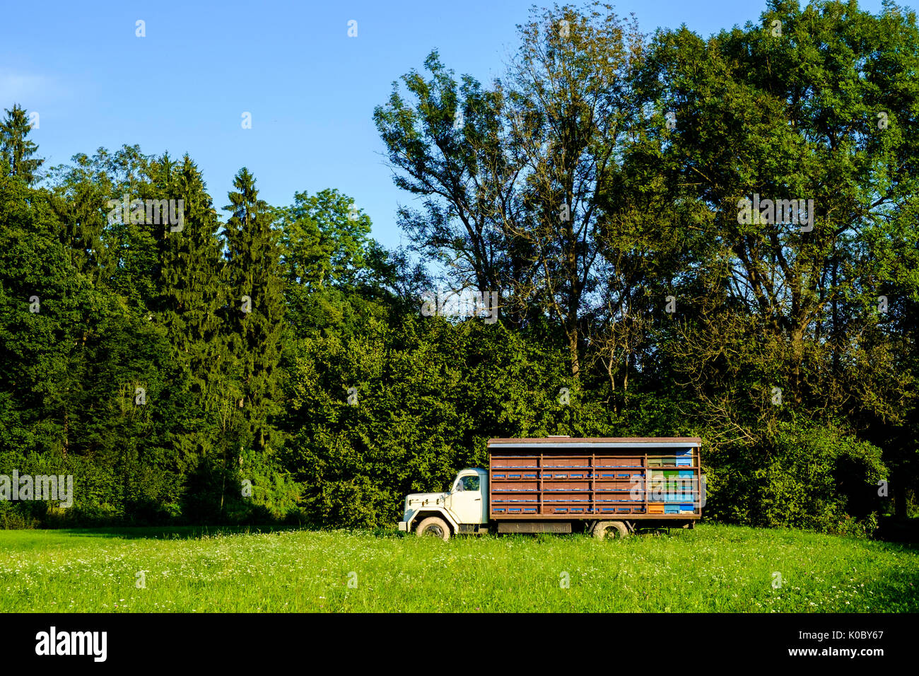Beehives on truck hi-res stock photography and images - Alamy