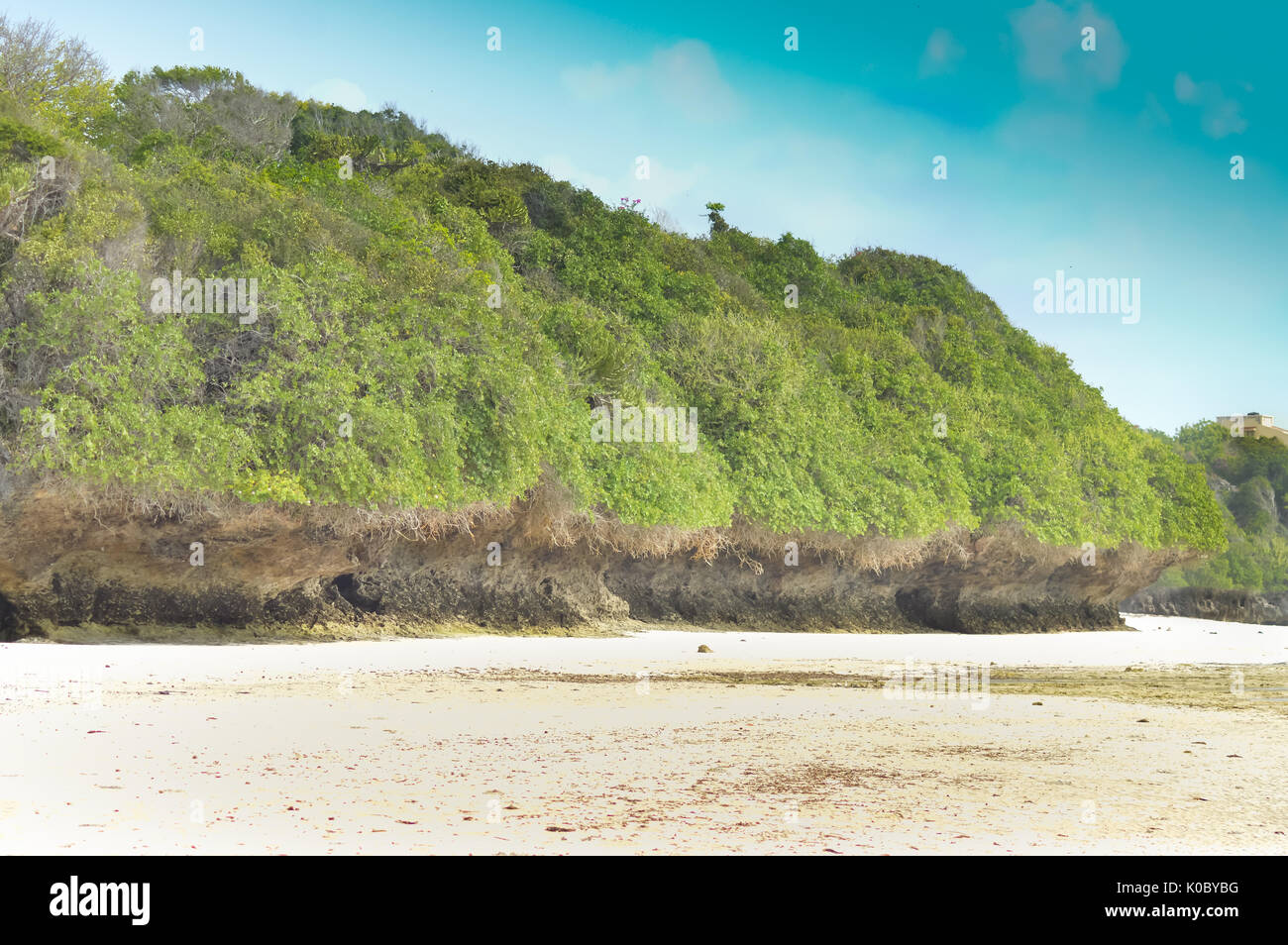 View of the beach and ocean at sunrise in Bamburi, Kenya Stock Photo ...