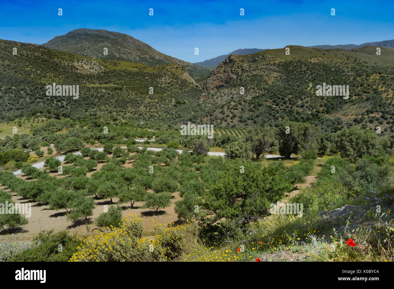 View of the green countryside of the island of Crete in Greece Stock ...