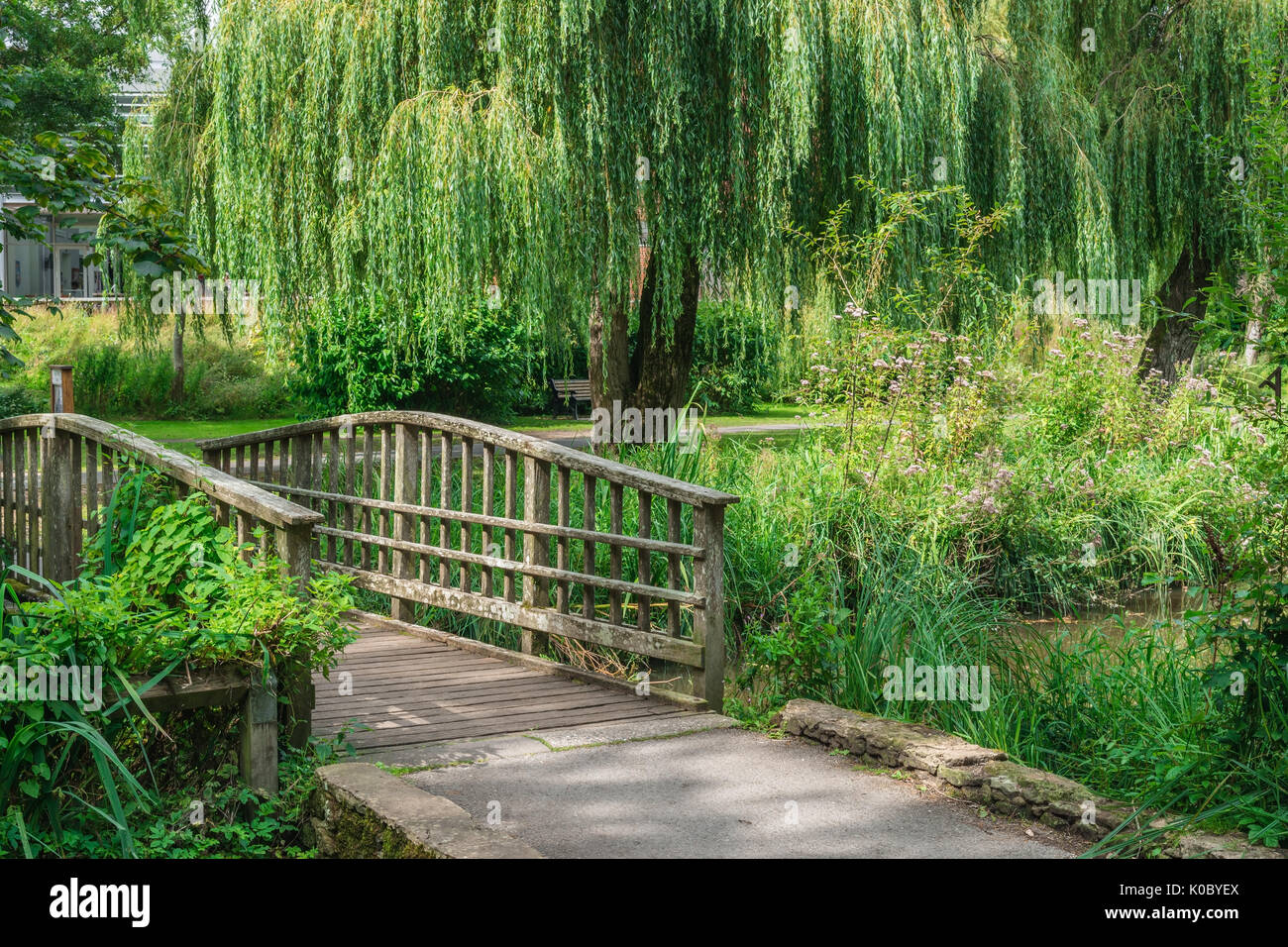 Summer south pond at Midhurst, West Sussex Stock Photo - Alamy