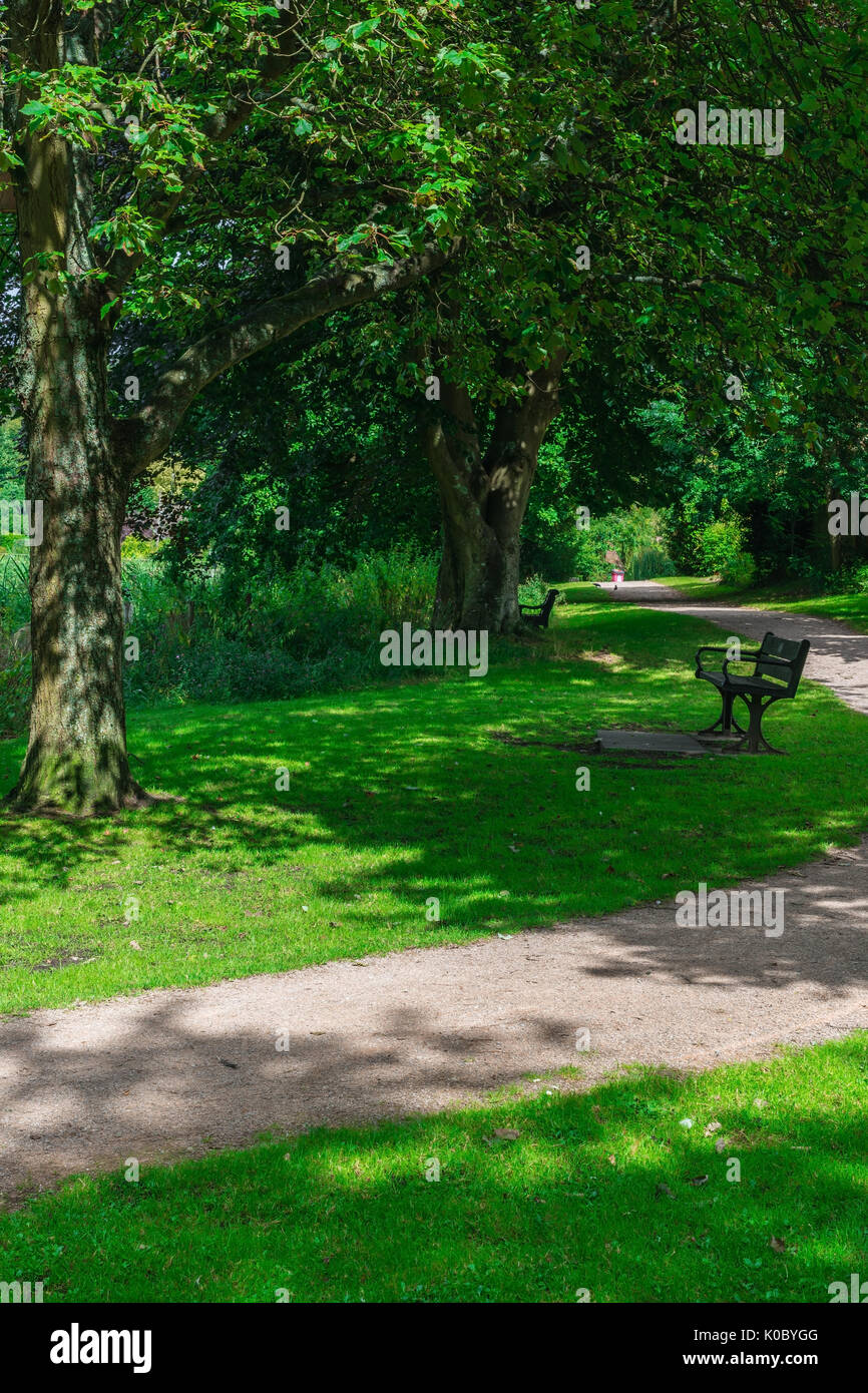 Summer south pond at Midhurst, West Sussex Stock Photo - Alamy